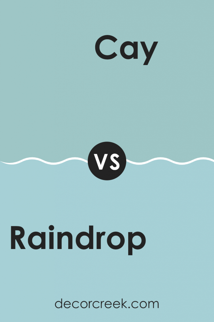 Raindrop SW 6485 Paint Color by Sherwin Williams - DecorCreek