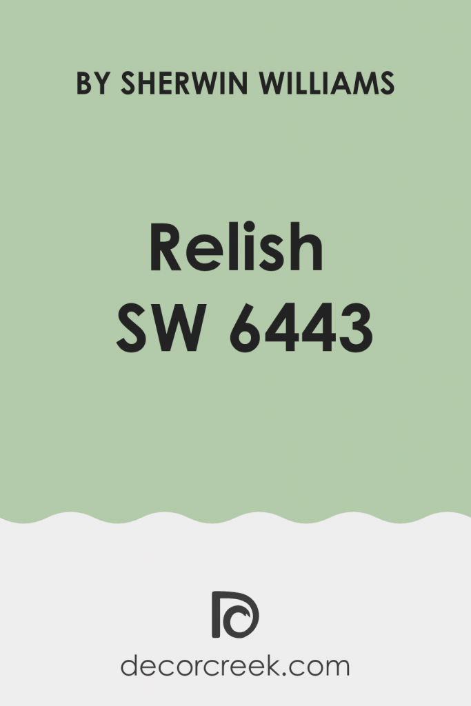 Relish SW 6443 Paint Color by Sherwin Williams - DecorCreek