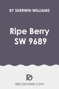 Ripe Berry SW 9689 Paint Color by Sherwin Williams - DecorCreek