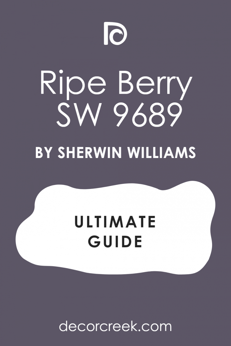 Ripe Berry SW 9689 Paint Color by Sherwin Williams - DecorCreek