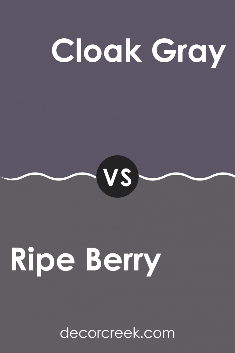 Ripe Berry SW 9689 Paint Color by Sherwin Williams - DecorCreek