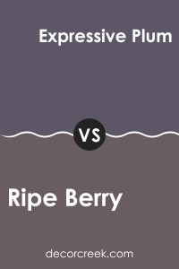 Ripe Berry SW 9689 Paint Color by Sherwin Williams - DecorCreek