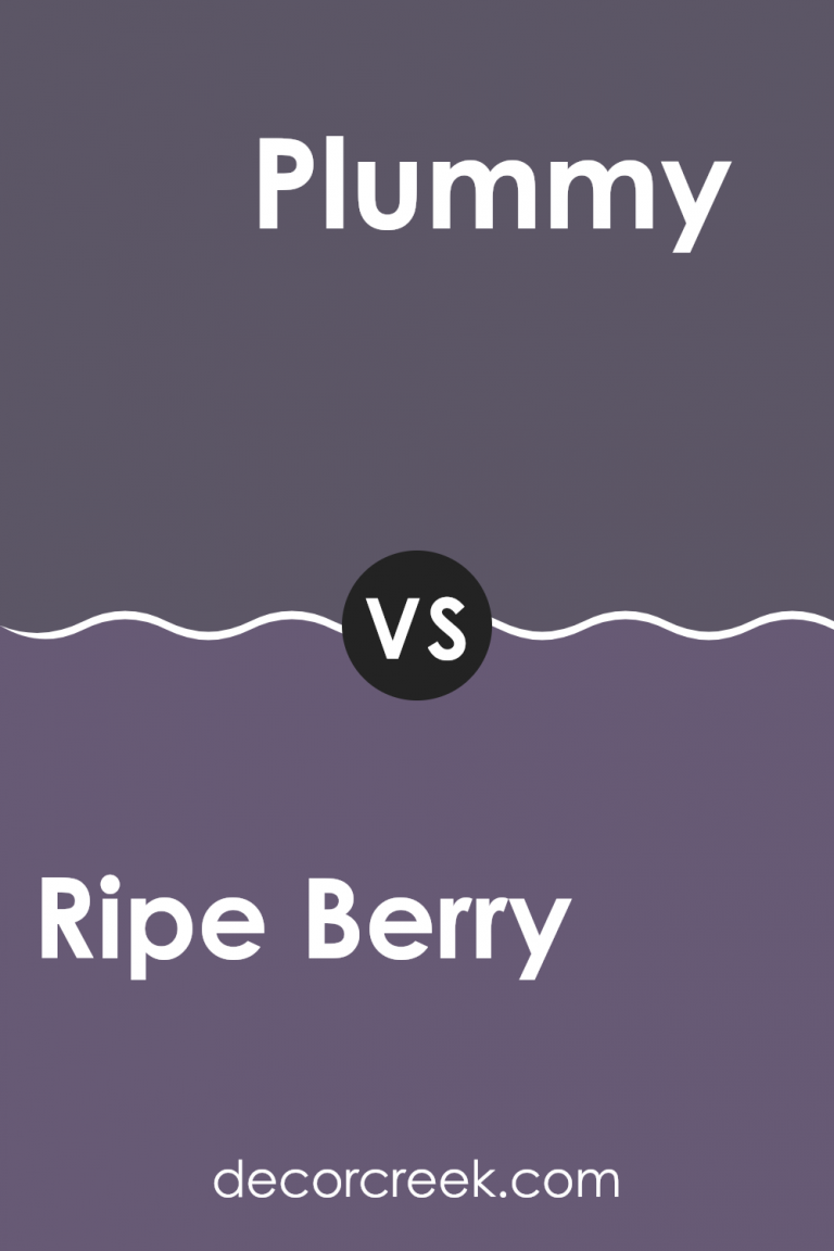 Ripe Berry SW 9689 Paint Color by Sherwin Williams - DecorCreek
