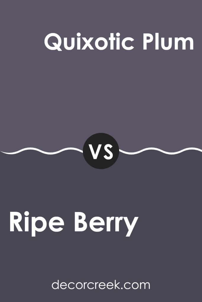 Ripe Berry SW 9689 Paint Color by Sherwin Williams - DecorCreek