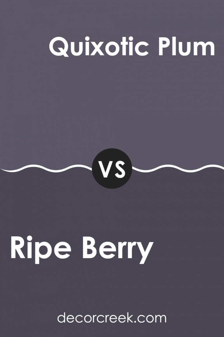 Ripe Berry SW 9689 Paint Color by Sherwin Williams - DecorCreek