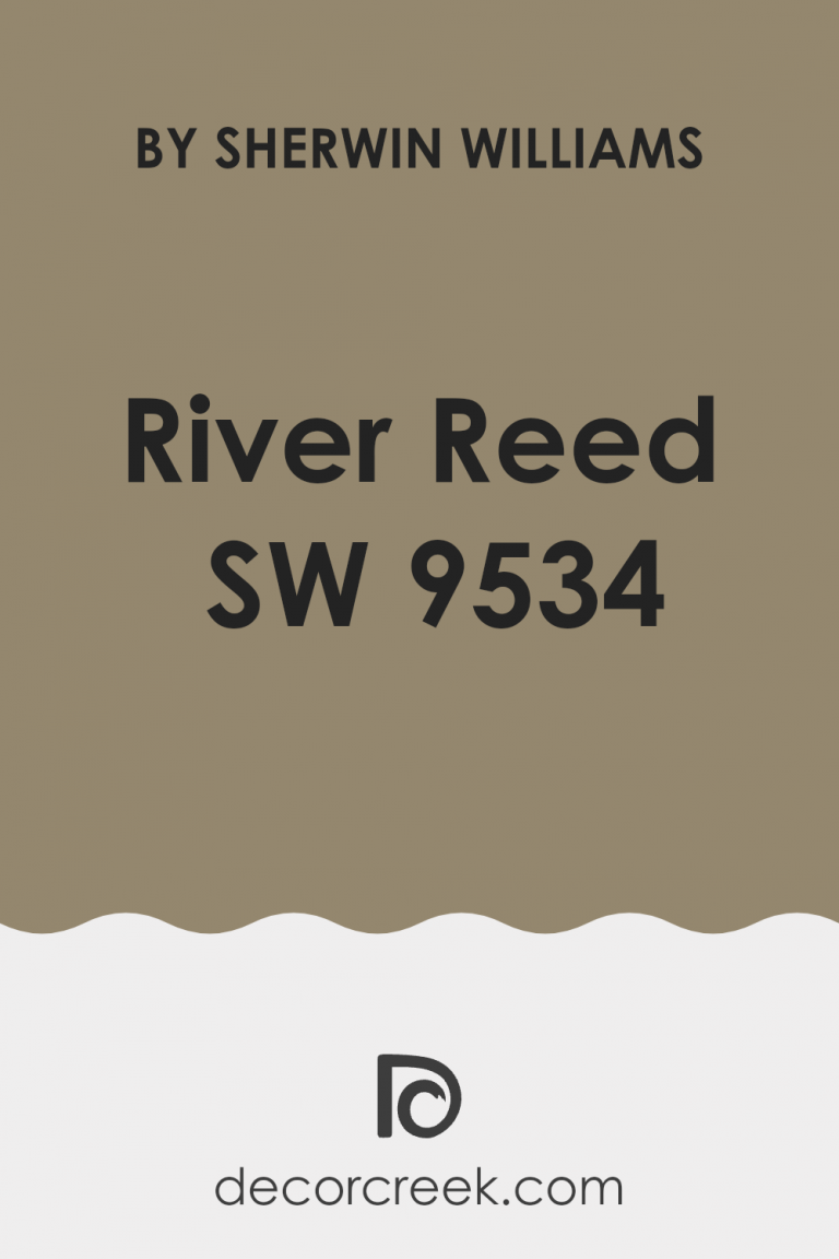 River Reed SW 9534 Paint Color by Sherwin Williams - DecorCreek
