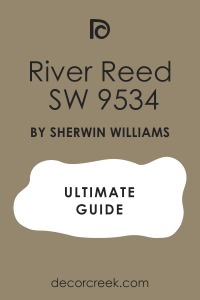 River Reed SW 9534 Paint Color by Sherwin Williams - DecorCreek