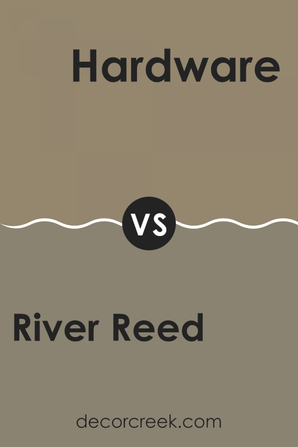 River Reed SW 9534 Paint Color by Sherwin Williams - DecorCreek