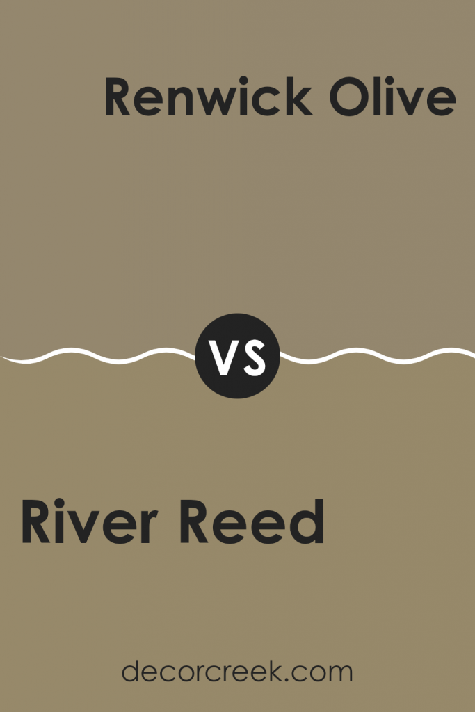 River Reed SW 9534 Paint Color by Sherwin Williams - DecorCreek