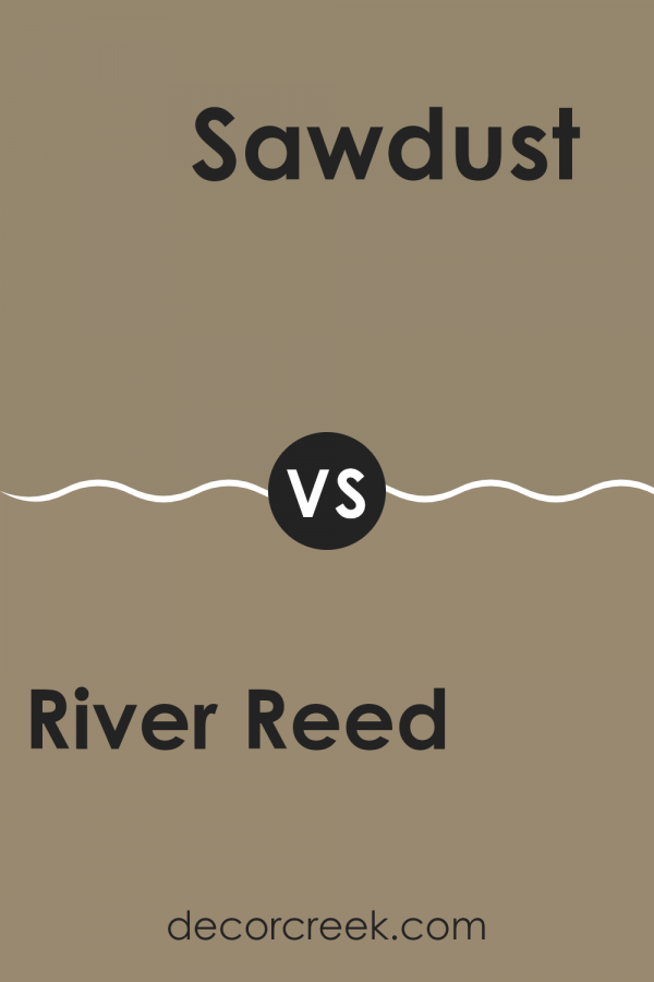River Reed SW 9534 Paint Color by Sherwin Williams - DecorCreek