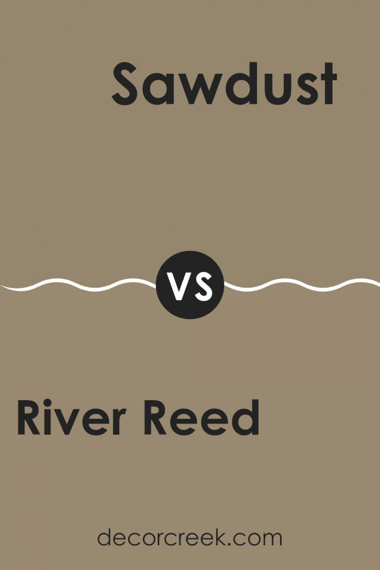 River Reed SW 9534 Paint Color by Sherwin Williams - DecorCreek