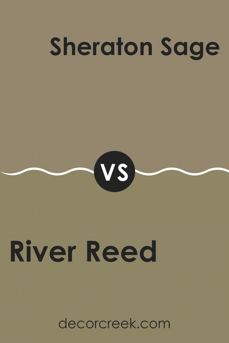 River Reed SW 9534 Paint Color by Sherwin Williams - DecorCreek