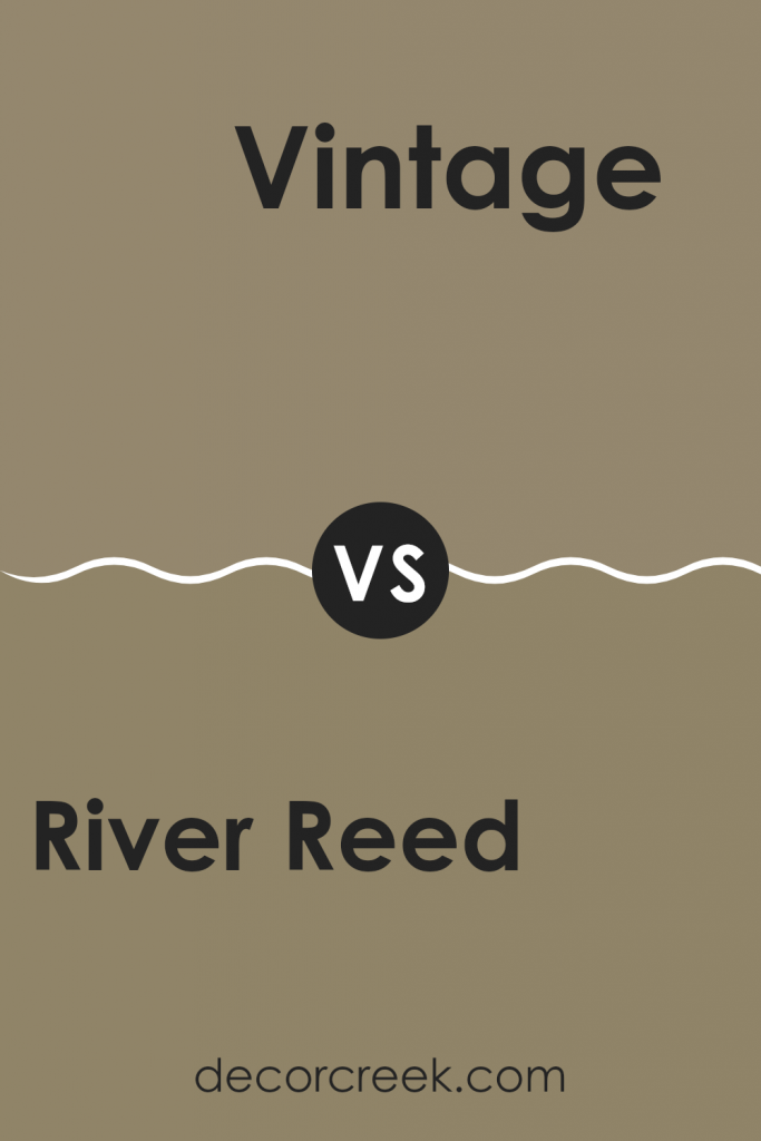 River Reed SW 9534 Paint Color by Sherwin Williams - DecorCreek