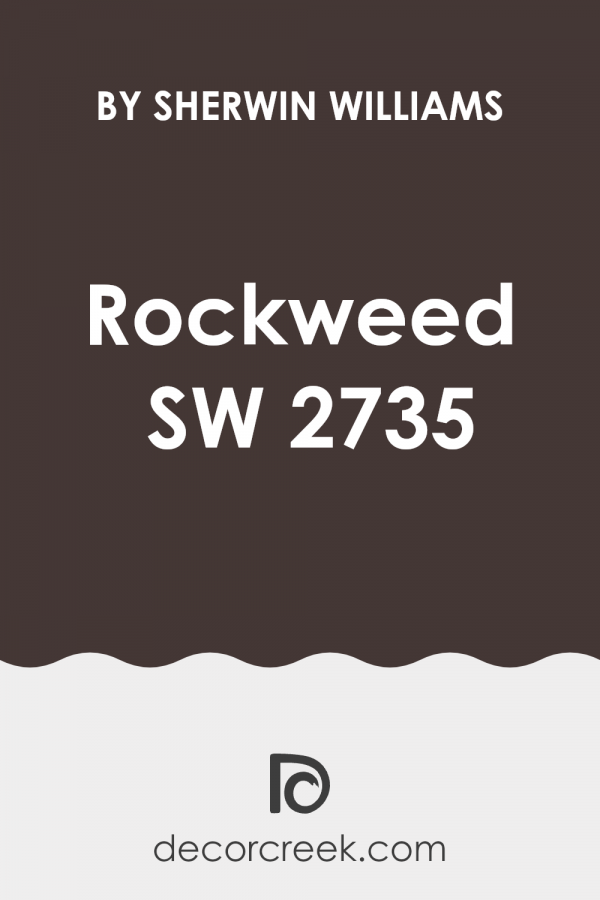 Rockweed SW 2735 Paint Color by Sherwin Williams - DecorCreek