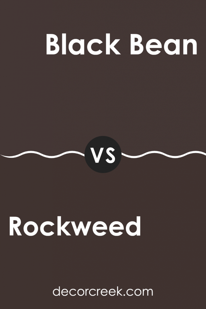 Rockweed SW 2735 Paint Color by Sherwin Williams - DecorCreek