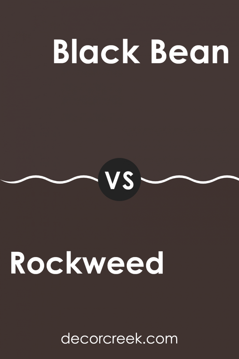 Rockweed SW 2735 Paint Color by Sherwin Williams - DecorCreek