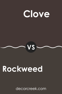 Rockweed SW 2735 Paint Color by Sherwin Williams - DecorCreek