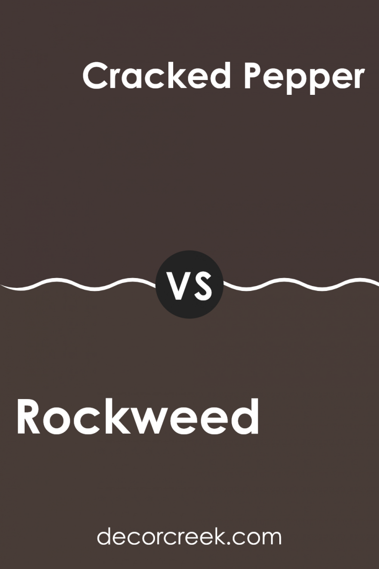 Rockweed SW 2735 Paint Color by Sherwin Williams - DecorCreek
