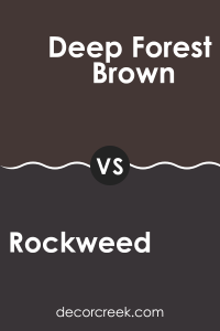 Rockweed SW 2735 Paint Color by Sherwin Williams - DecorCreek