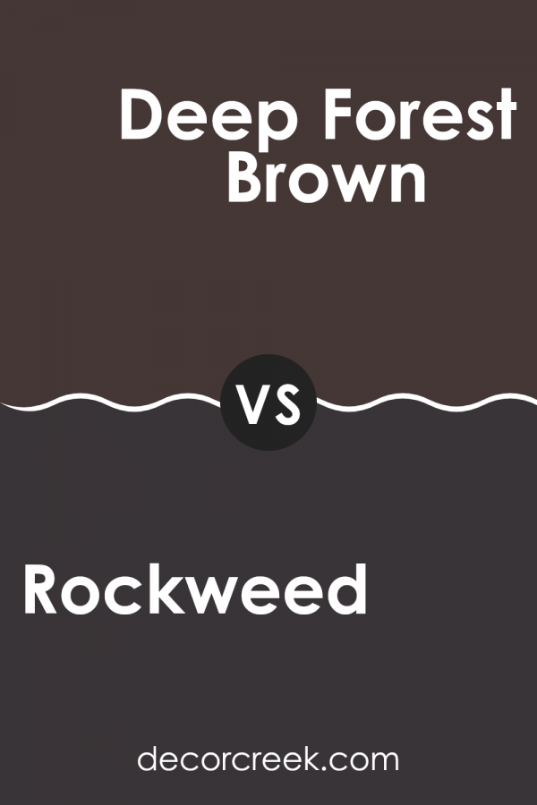 Rockweed SW 2735 Paint Color by Sherwin Williams - DecorCreek