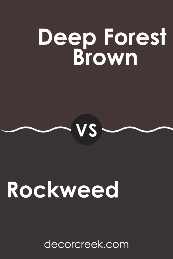 Rockweed SW 2735 Paint Color by Sherwin Williams - DecorCreek
