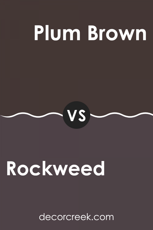 Rockweed SW 2735 Paint Color by Sherwin Williams - DecorCreek