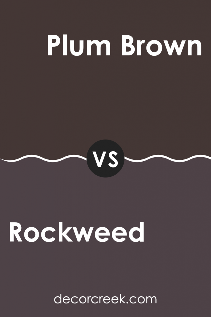 Rockweed SW 2735 Paint Color by Sherwin Williams - DecorCreek