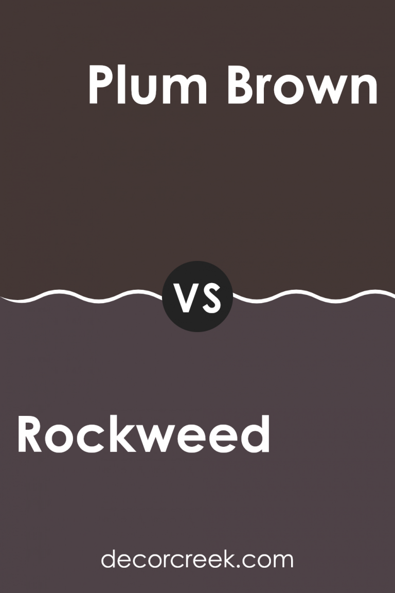 Rockweed SW 2735 Paint Color by Sherwin Williams - DecorCreek