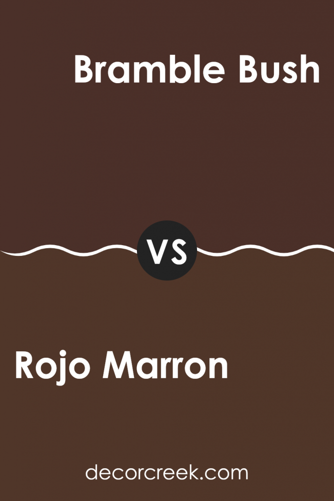 Rojo Marron SW 9182 Paint Color by Sherwin Williams - DecorCreek