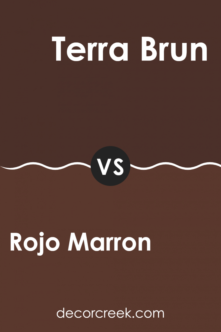 Rojo Marron SW 9182 Paint Color by Sherwin Williams - DecorCreek