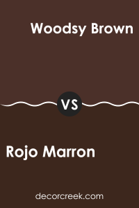 Rojo Marron SW 9182 Paint Color by Sherwin Williams - DecorCreek