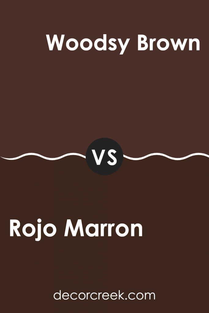 Rojo Marron SW 9182 Paint Color by Sherwin Williams - DecorCreek