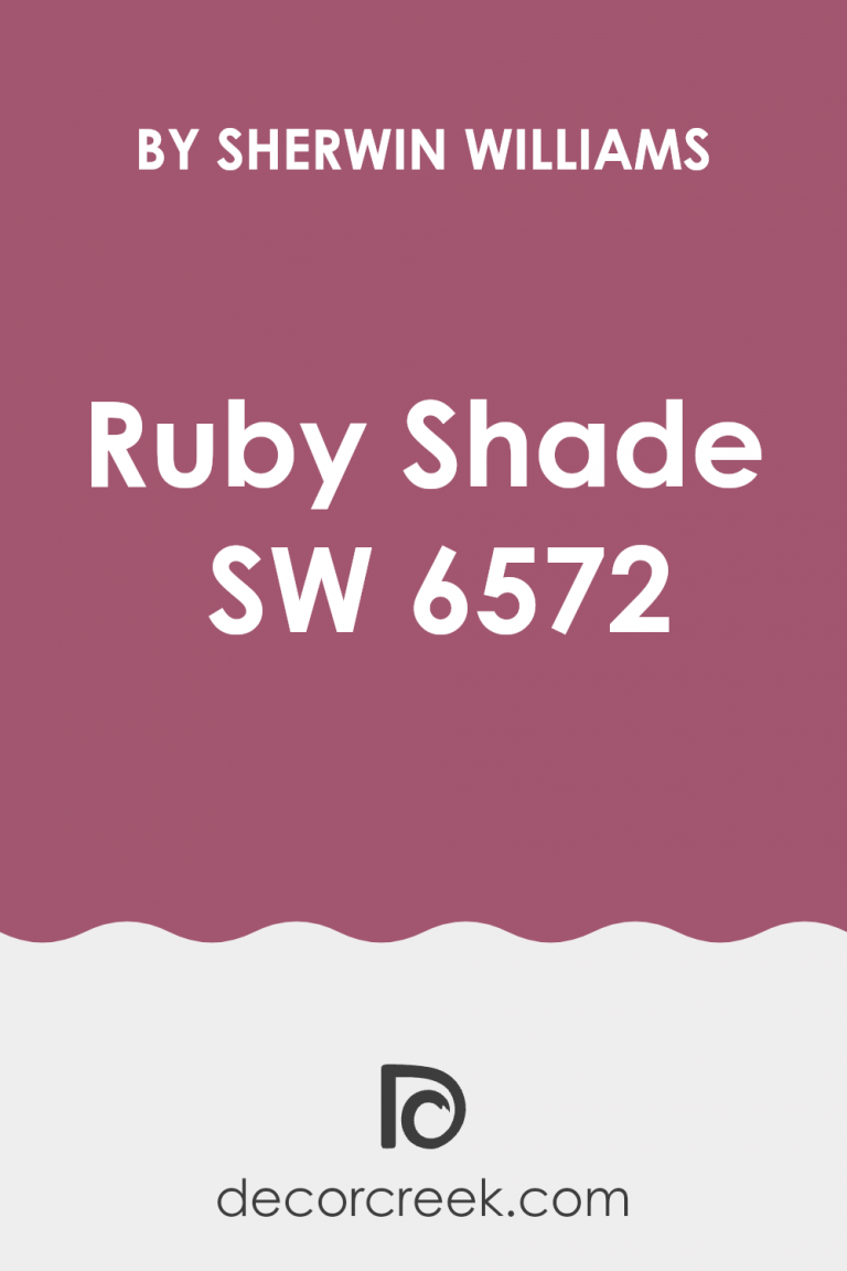 Ruby Shade SW 6572 Paint Color by Sherwin Williams - DecorCreek