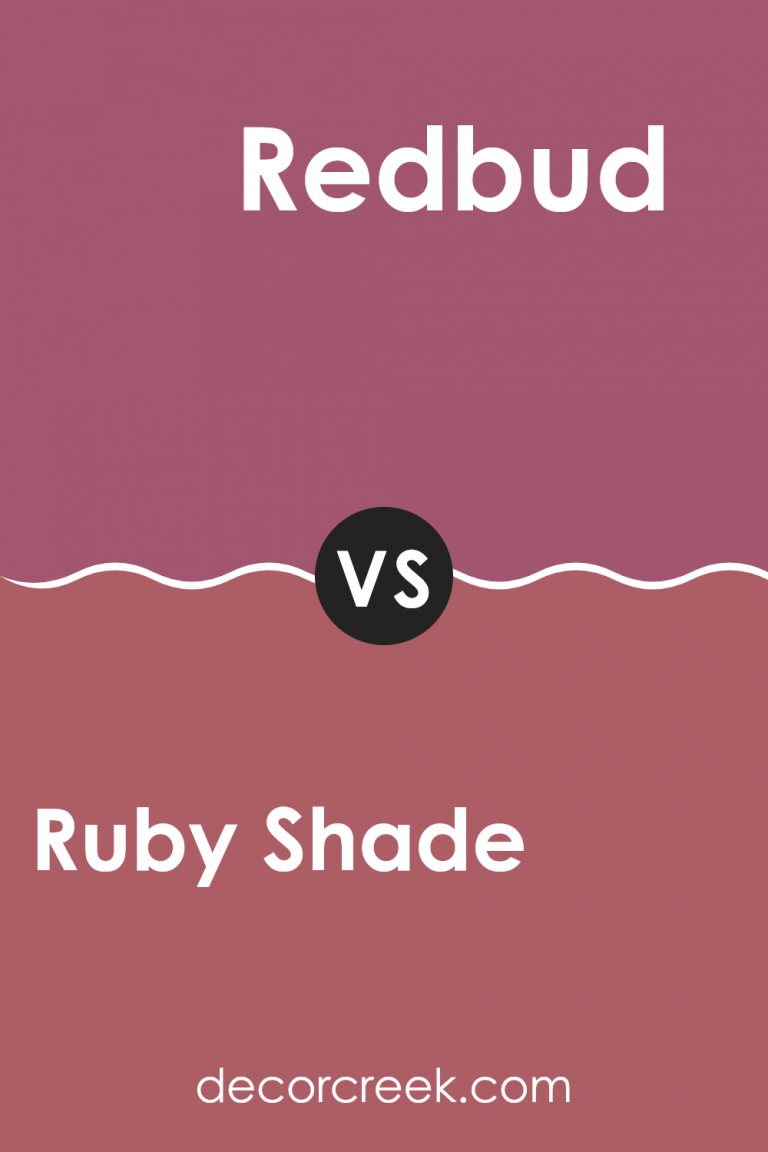 Ruby Shade SW 6572 Paint Color by Sherwin Williams - DecorCreek