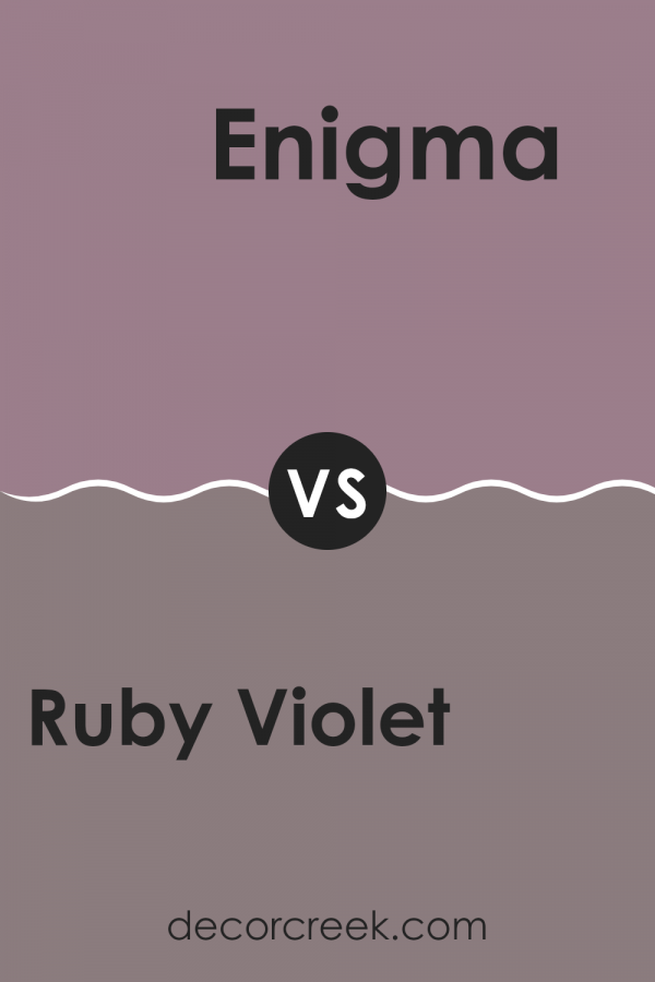 Ruby Violet SW 9076 Paint Color by Sherwin Williams - DecorCreek