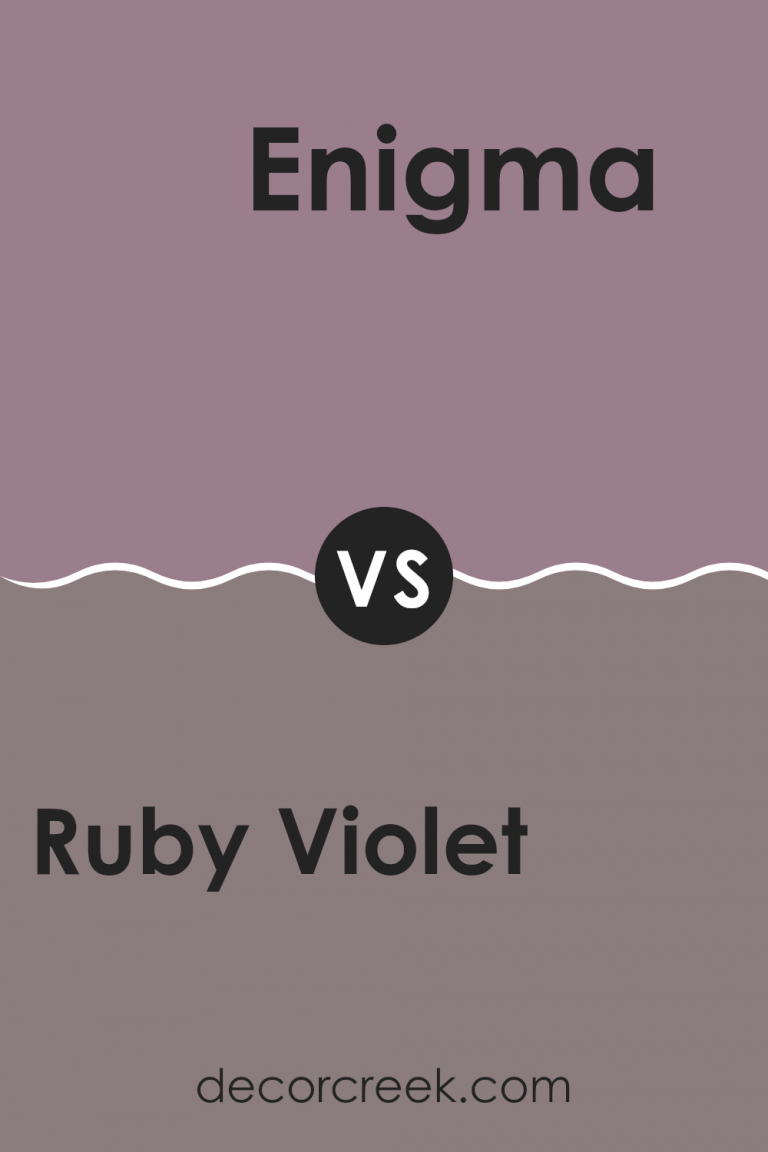 Ruby Violet SW 9076 Paint Color by Sherwin Williams - DecorCreek