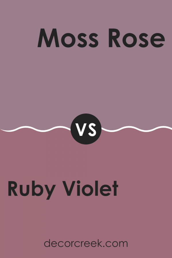 Ruby Violet SW 9076 Paint Color by Sherwin Williams - DecorCreek