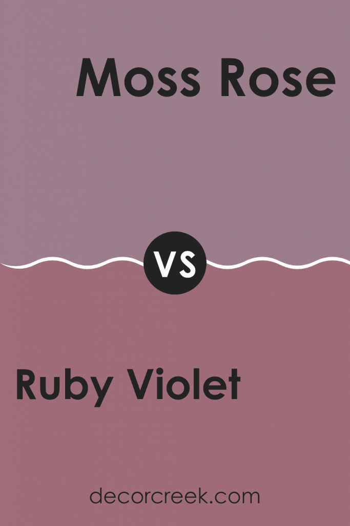 Ruby Violet SW 9076 Paint Color by Sherwin Williams - DecorCreek