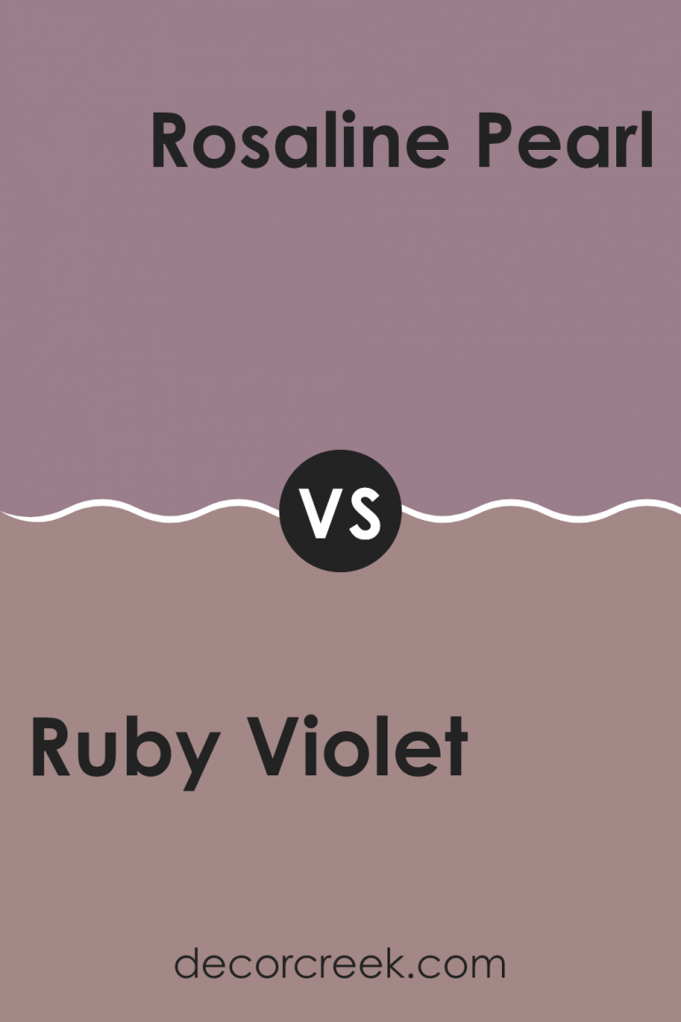 Ruby Violet SW 9076 Paint Color by Sherwin Williams - DecorCreek