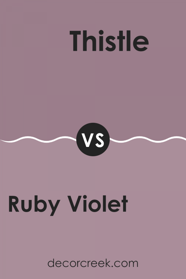 Ruby Violet SW 9076 Paint Color by Sherwin Williams - DecorCreek