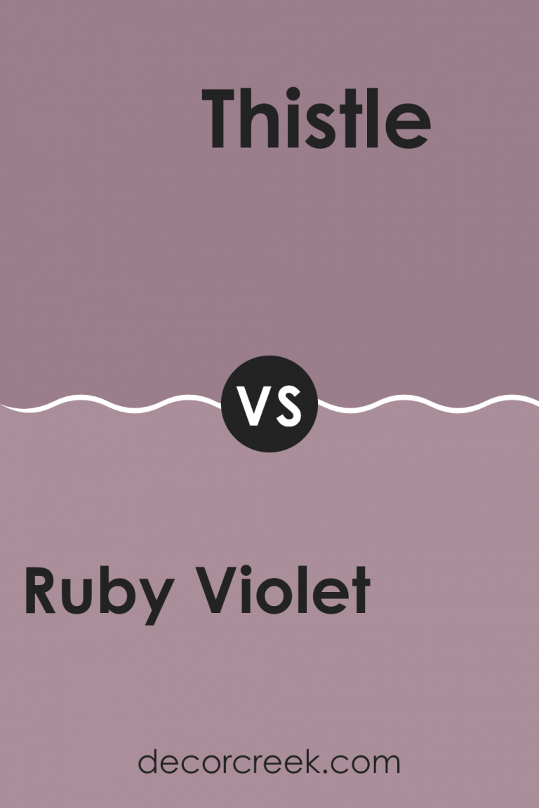 Ruby Violet SW 9076 Paint Color by Sherwin Williams - DecorCreek