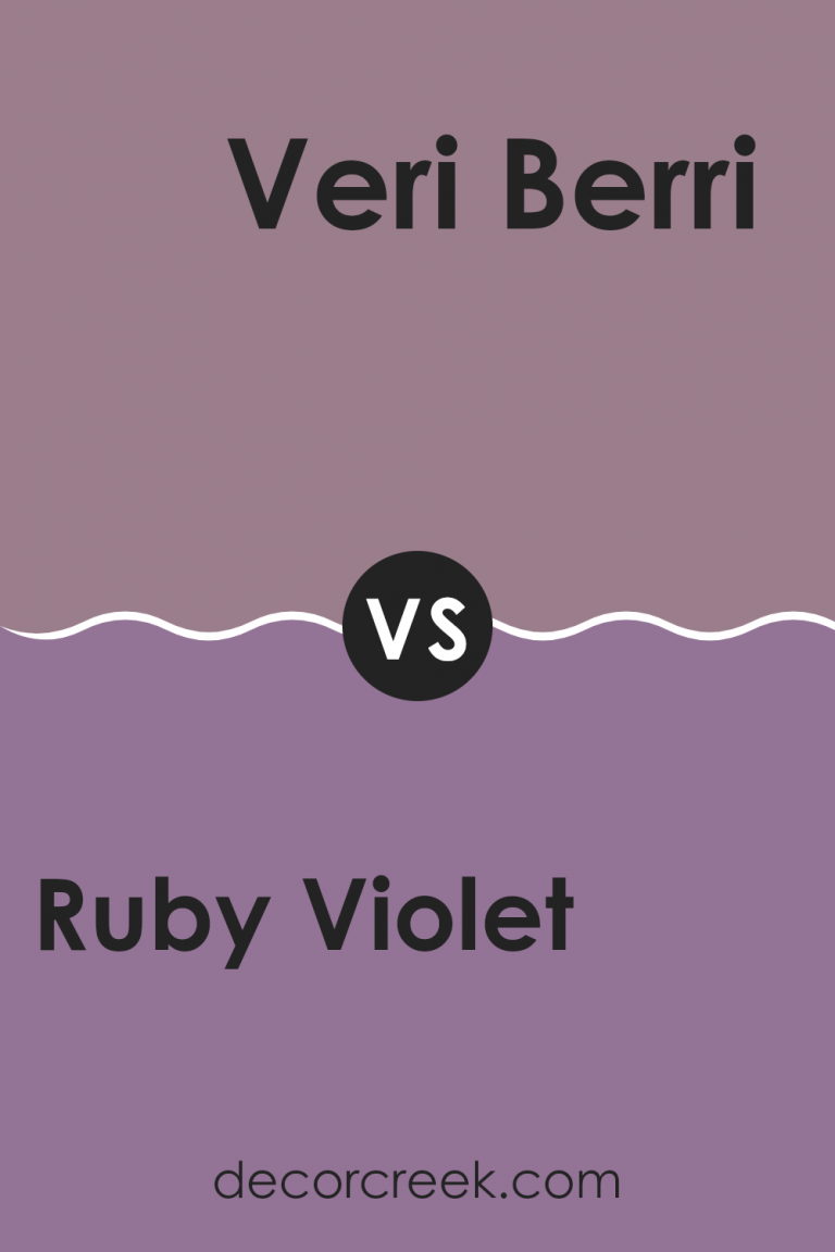 Ruby Violet SW 9076 Paint Color by Sherwin Williams - DecorCreek