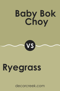 Ryegrass SW 6423 Paint Color by Sherwin Williams - DecorCreek