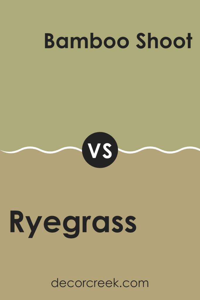 Ryegrass SW 6423 Paint Color by Sherwin Williams - DecorCreek