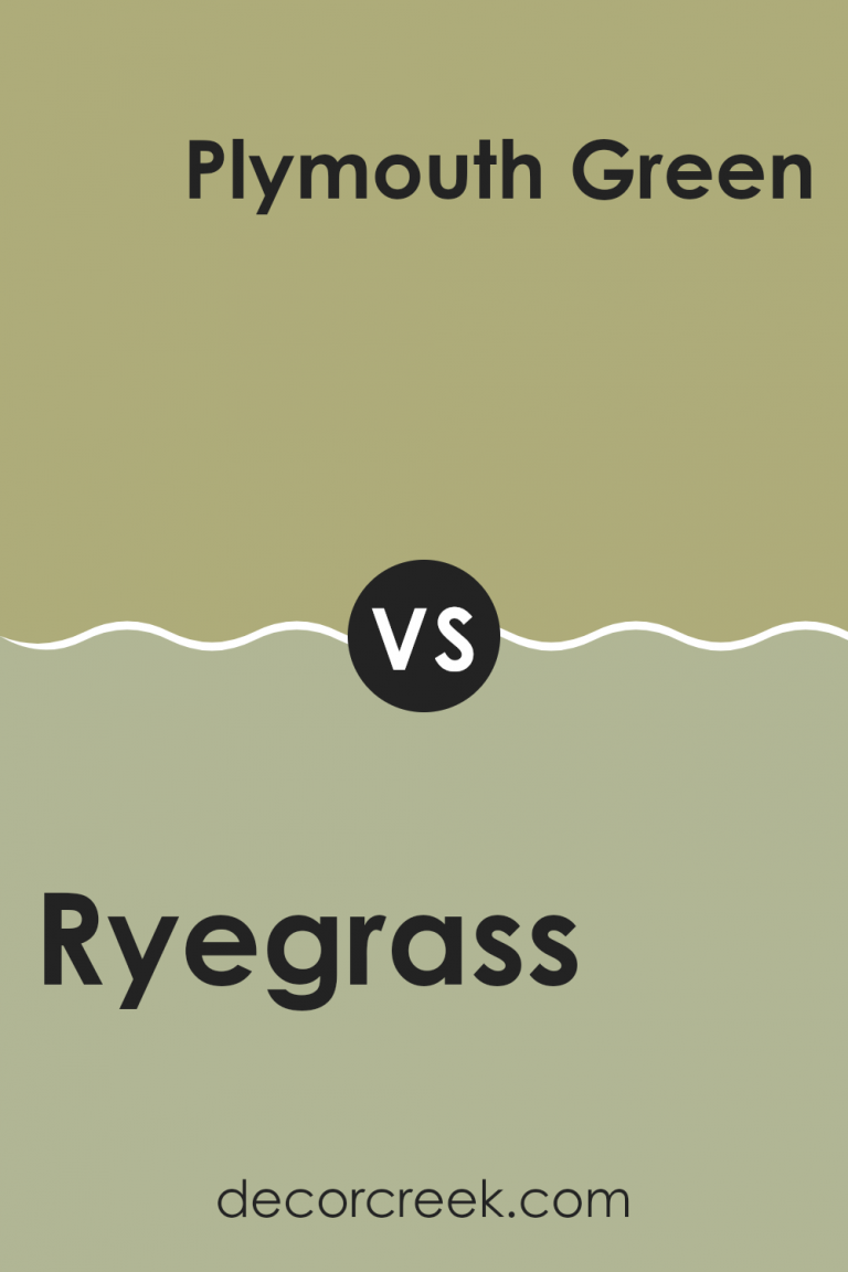 Ryegrass SW 6423 Paint Color by Sherwin Williams - DecorCreek
