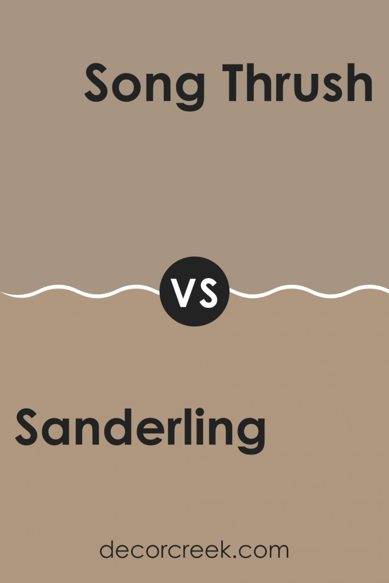 Sanderling SW 7513 Paint Color by Sherwin Williams - DecorCreek