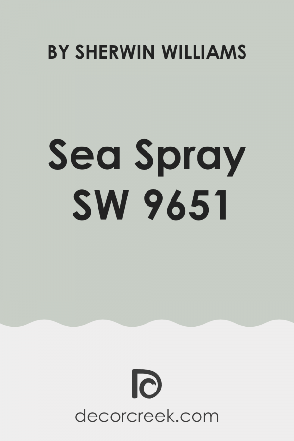 Sea Spray SW 9651 Paint Color by Sherwin Williams - DecorCreek
