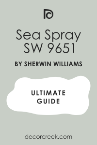 Sea Spray SW 9651 Paint Color by Sherwin Williams - DecorCreek
