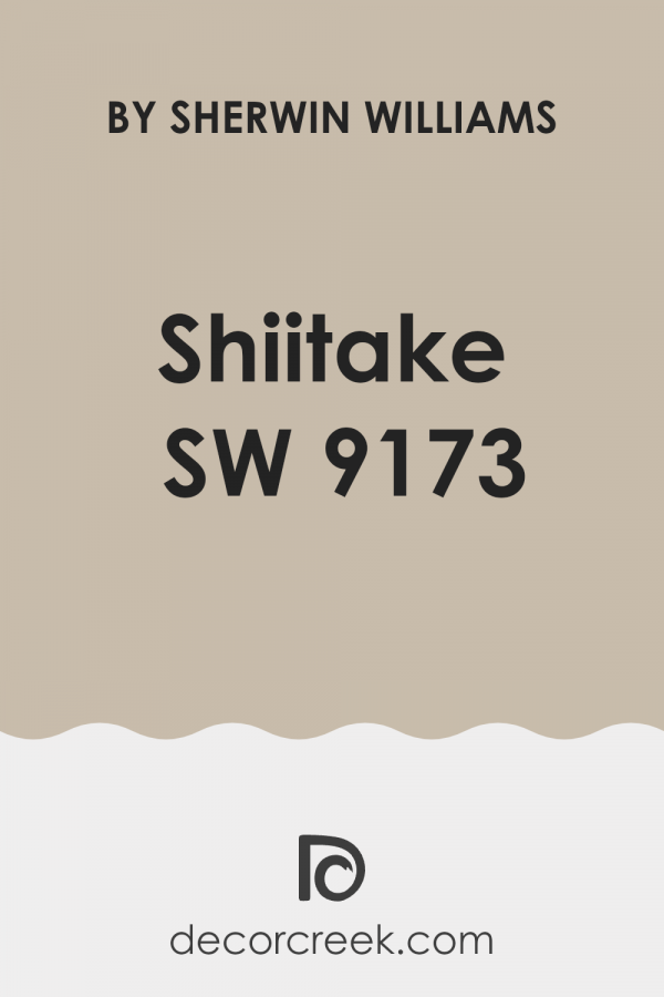 Shiitake SW 9173 Paint Color by Sherwin Williams - DecorCreek