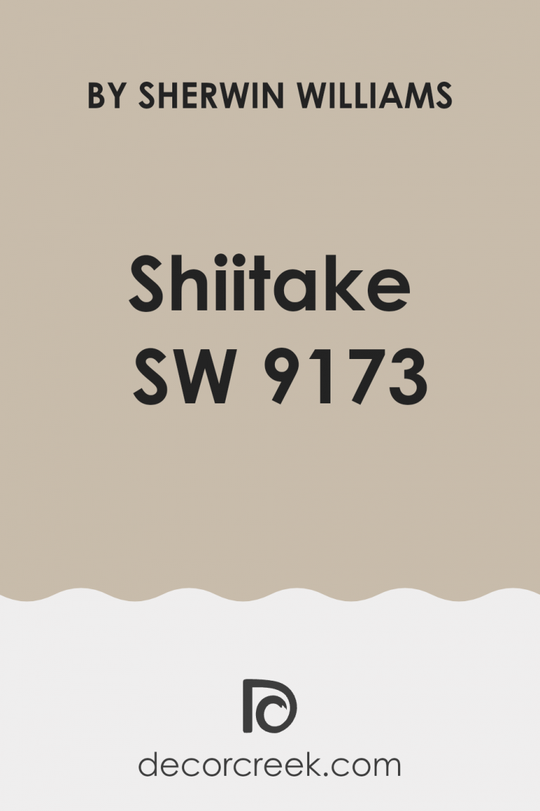 Shiitake SW 9173 Paint Color by Sherwin Williams - DecorCreek